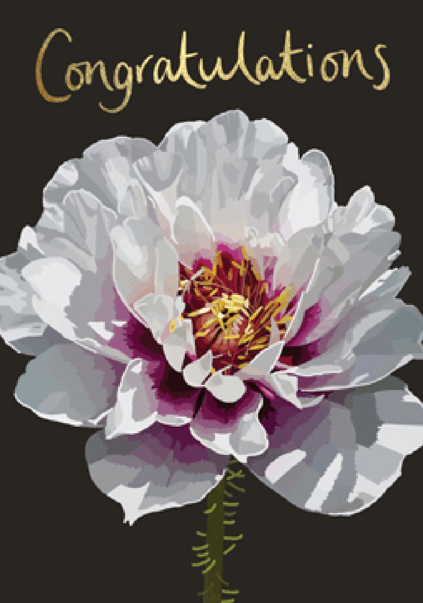 Sarah Kelleher Ib09 Congratulations Card– Escape Boutique Whitley Bay